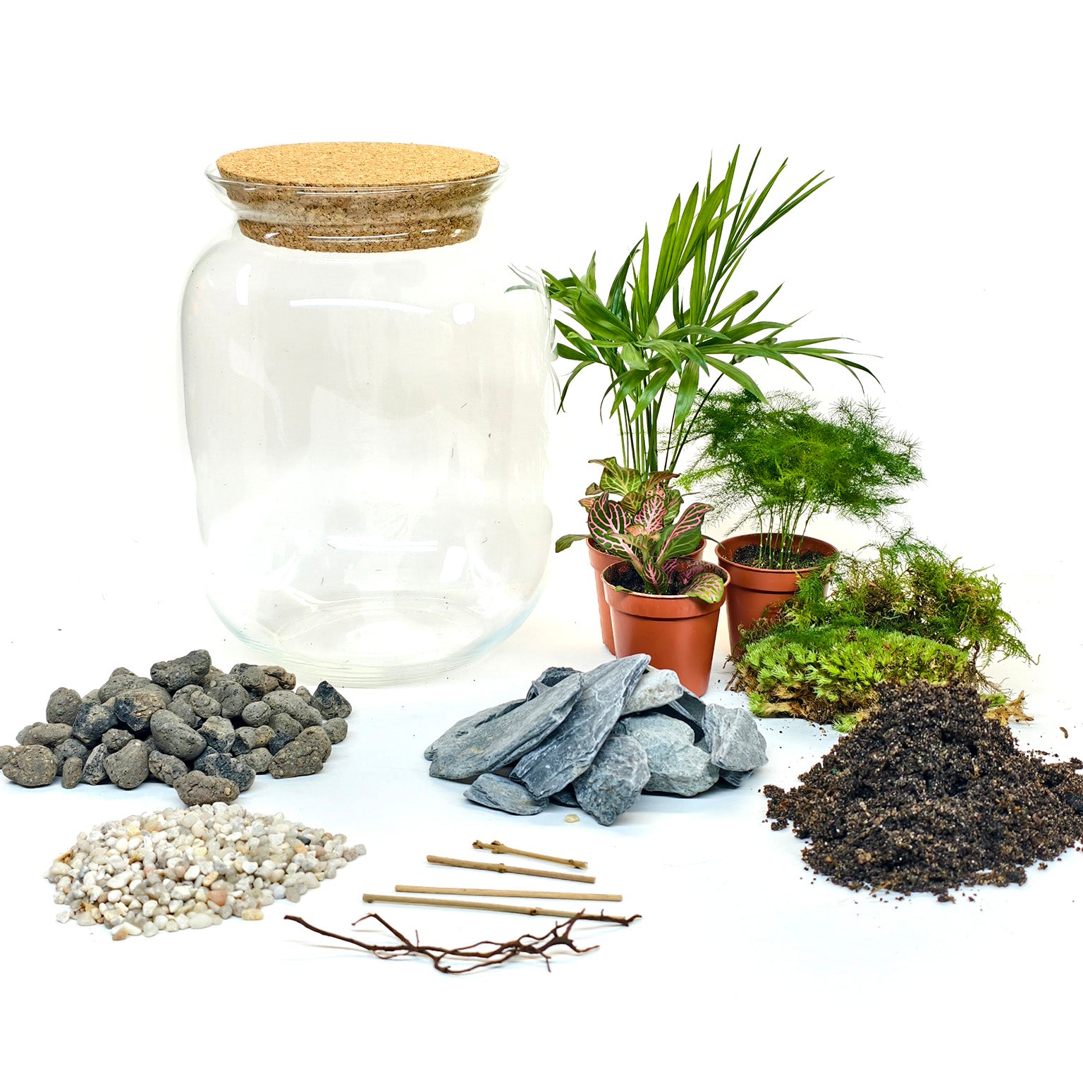 Deluxe Terrarium Kit 22cm – Babylon Terrariums